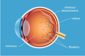 Eye Care and Symptom Management